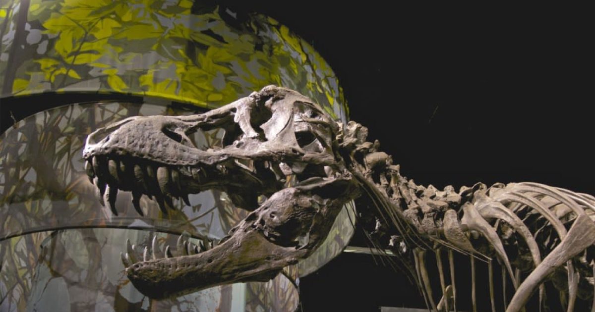 Cartersville, GA | Tellus Science Museum | Cartersville Museum City